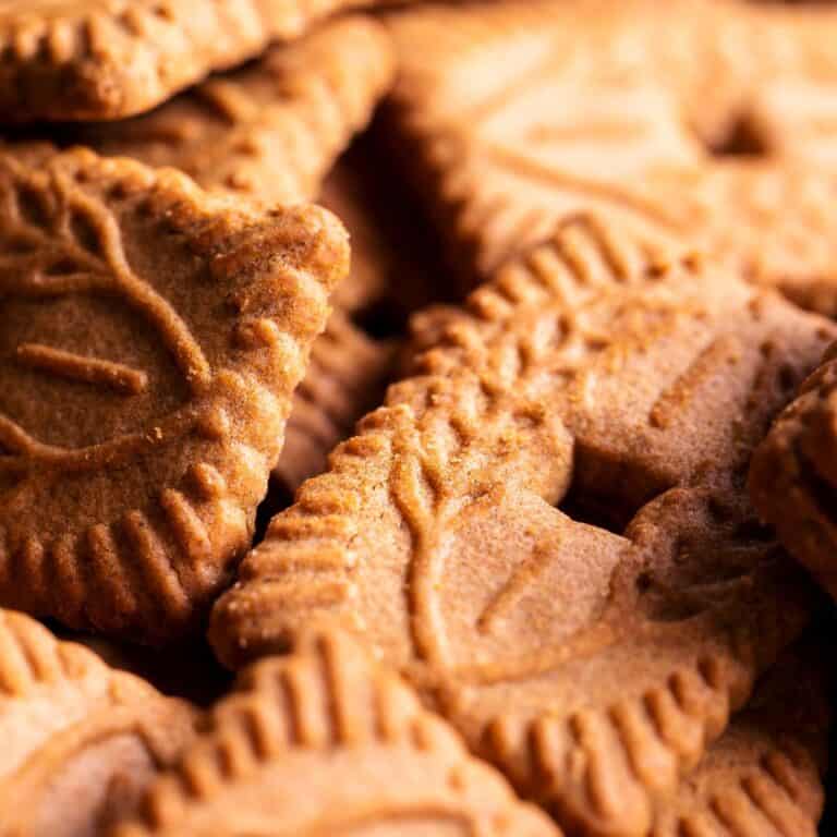 Traditional Belgian Food in Brussels: 17 Must-Eats!