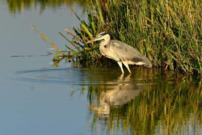 30 Best Lakes In Wisconsin: Why I Love Them! - Paulina on the road