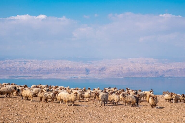 20 Photos That Will Make You Want Visit Jordan - Paulina on the road