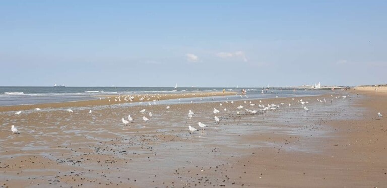 10 Things To Do on Knokke Beach, Belgium - Paulina on the road