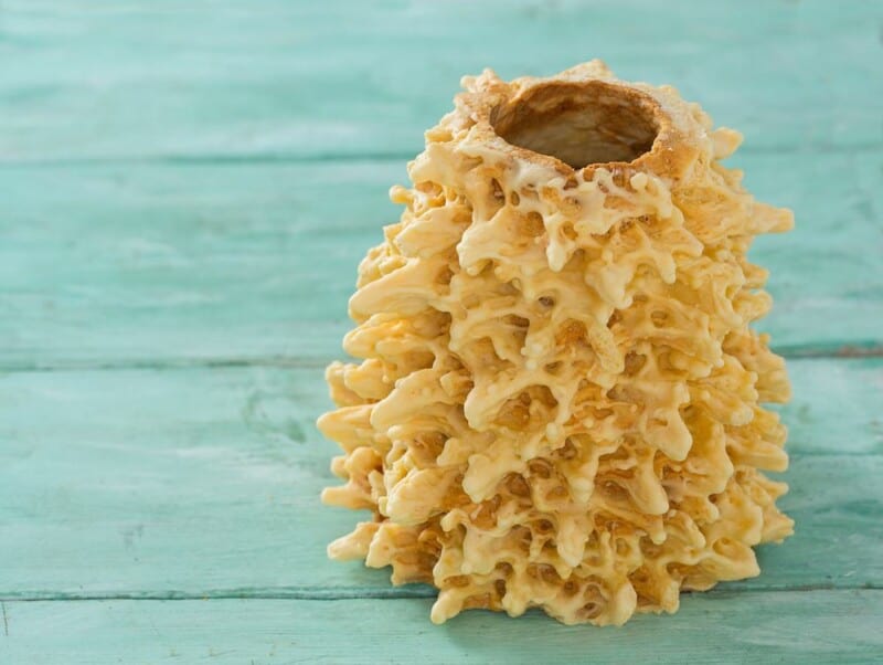 13 Best Polish Food to Try in Podlasie + Recipes - Paulina on the road