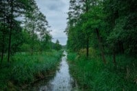 10 Reasons Why You Should Visit Podlasie, Poland - Paulina on the road