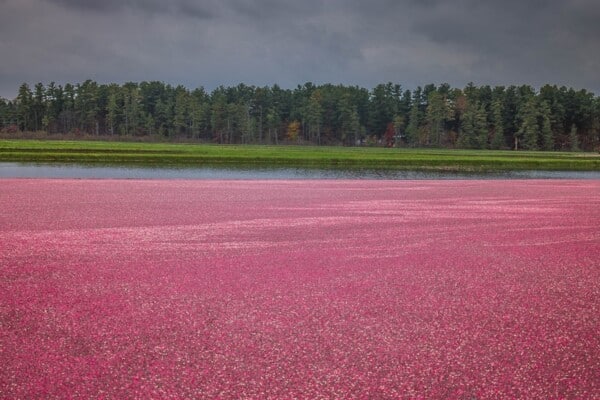 12 Best Farm Tours in Wisconsin - Paulina on the road