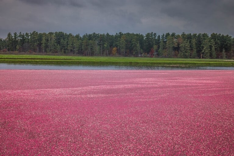 12 Best Farm Tours in Wisconsin - Paulina on the road