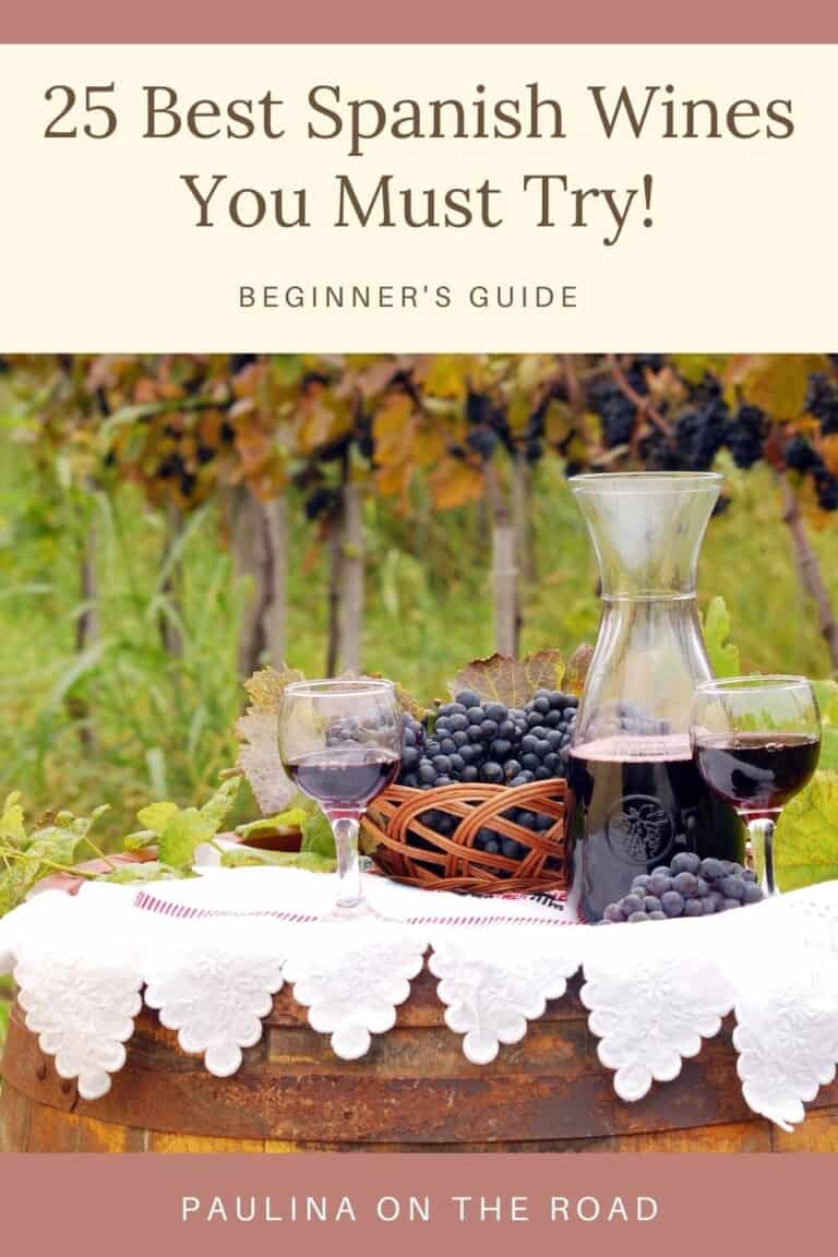 25 Best Spanish Wines (Beginner’s Guide) - Paulina on the road