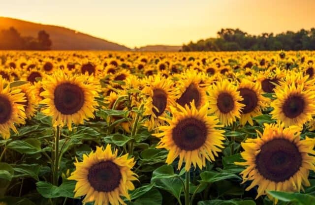 20 Amazing Outdoor Activities in Wisconsin - Paulina on the road