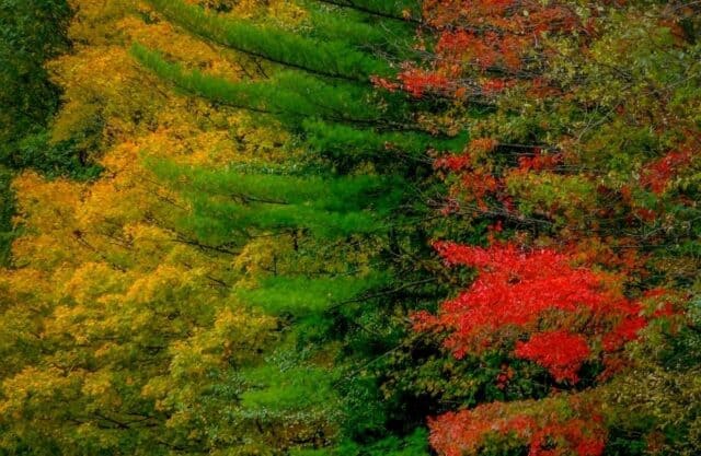 15 Best Places for Fall Colors in Wisconsin - Paulina on the road