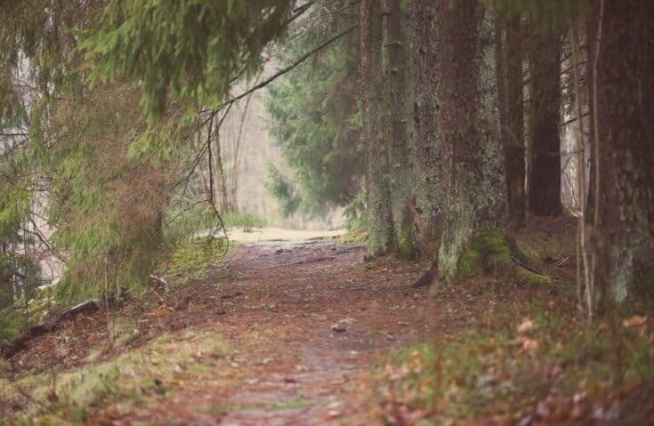 15 Best Southern Wisconsin Hiking Trails - Paulina on the road