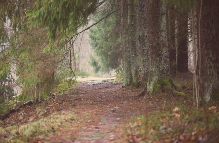 15 Best Southern Wisconsin Hiking Trails - Paulina on the road