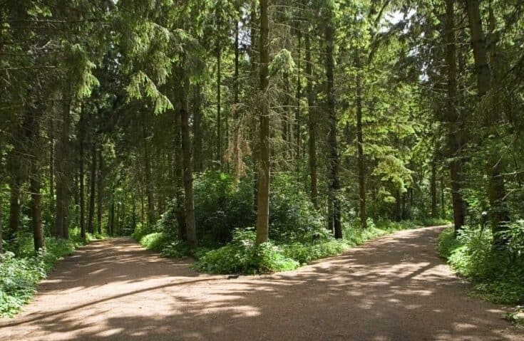 15 Best Trails for Hiking in Northern Wisconsin - Paulina on the road