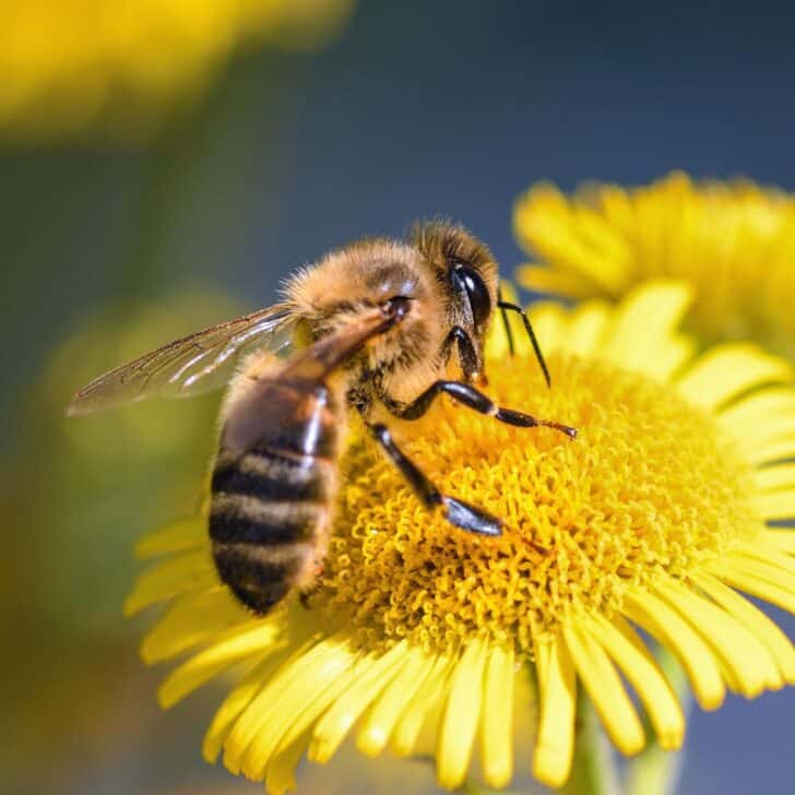 35 Most Funny Spanish Words - Paulina on the road