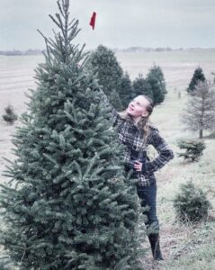 20 Best Christmas Tree Farms in Wisconsin - Paulina on the road