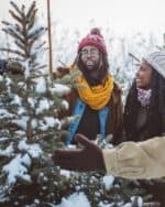 15 Best Christmas Tree Farms in Wisconsin - Paulina on the road