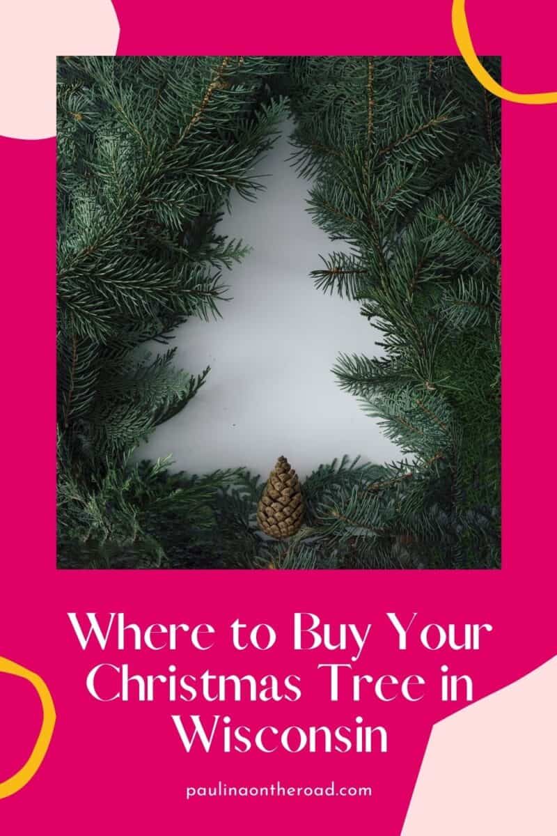 20 Best Christmas Tree Farms in Wisconsin - Paulina on the road