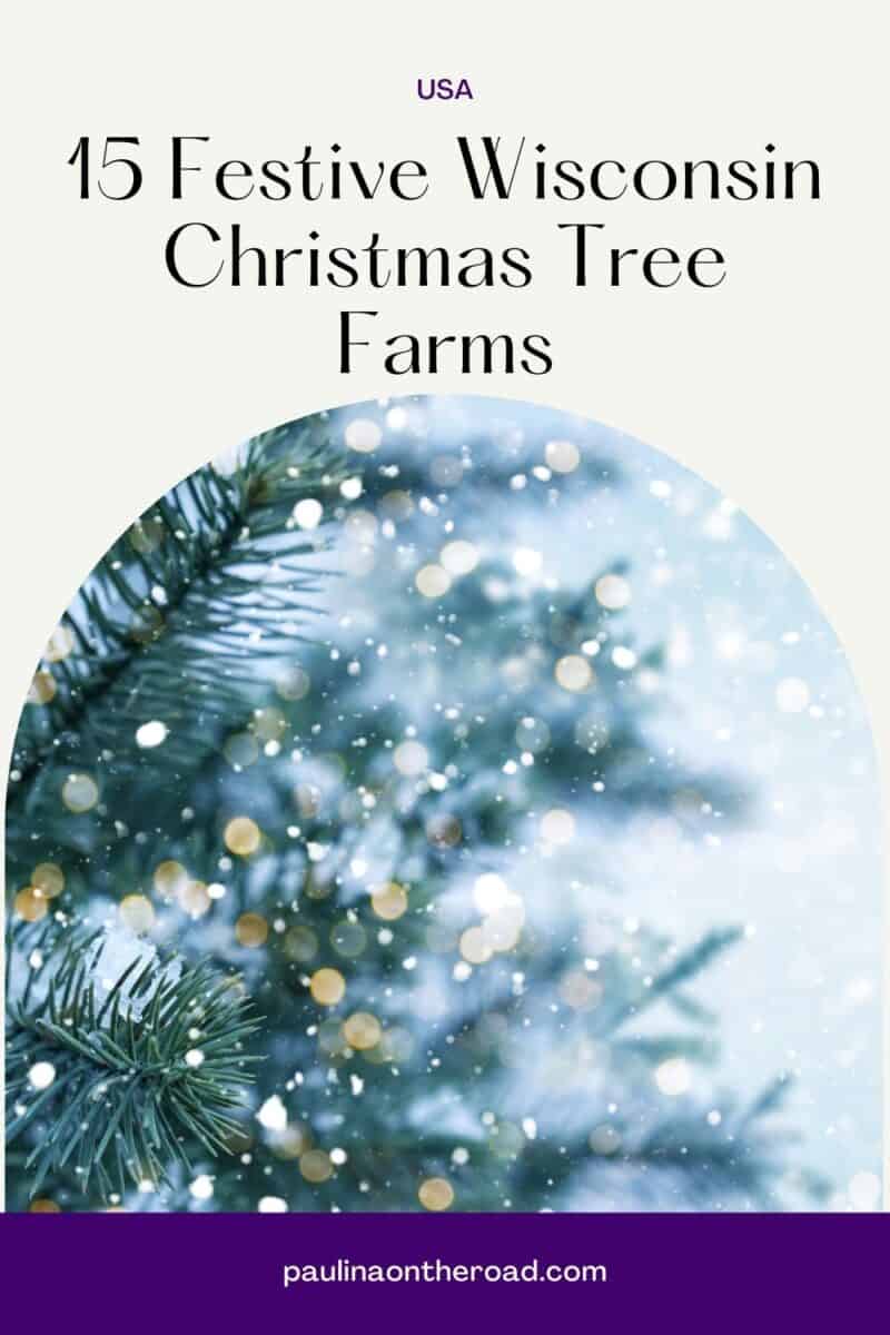 15 Best Christmas Tree Farms in Wisconsin - Paulina on the road
