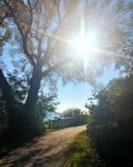 Hiking in Madison, WI: Top 15 Madison Trails - Paulina on the road