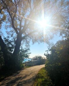 Hiking in Madison, WI: Top 15 Madison Trails - Paulina on the road