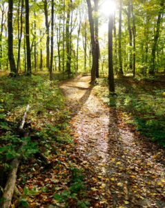 Hiking in Madison, WI: Top 15 Madison Trails - Paulina on the road