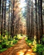 Hiking in Madison, WI: Top 15 Madison Trails - Paulina on the road