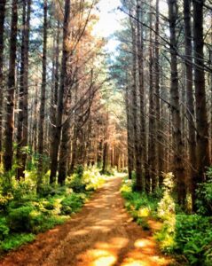 Hiking in Madison, WI: Top 15 Madison Trails - Paulina on the road