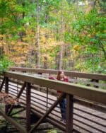 20 Fun Things to Do in Wisconsin Dells for Adults - Paulina on the road