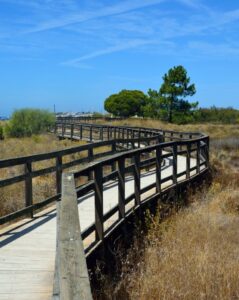 15 Best Things to do in Faro in November - Paulina on the road