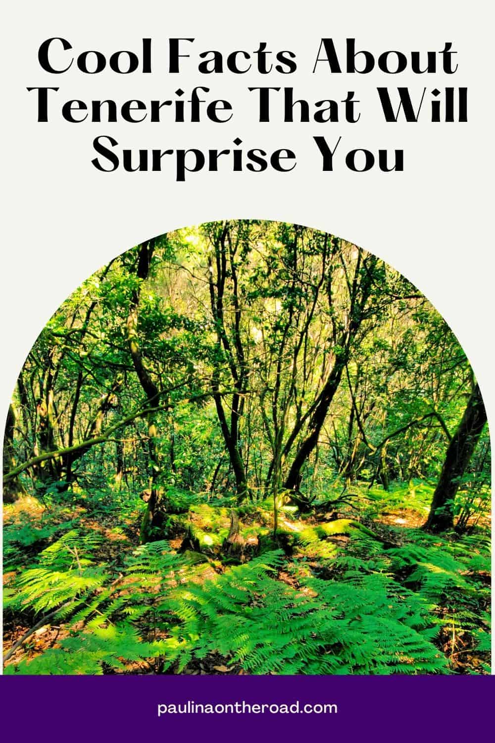 10 Cool Facts about Tenerife You Need to Know! - Paulina on the road