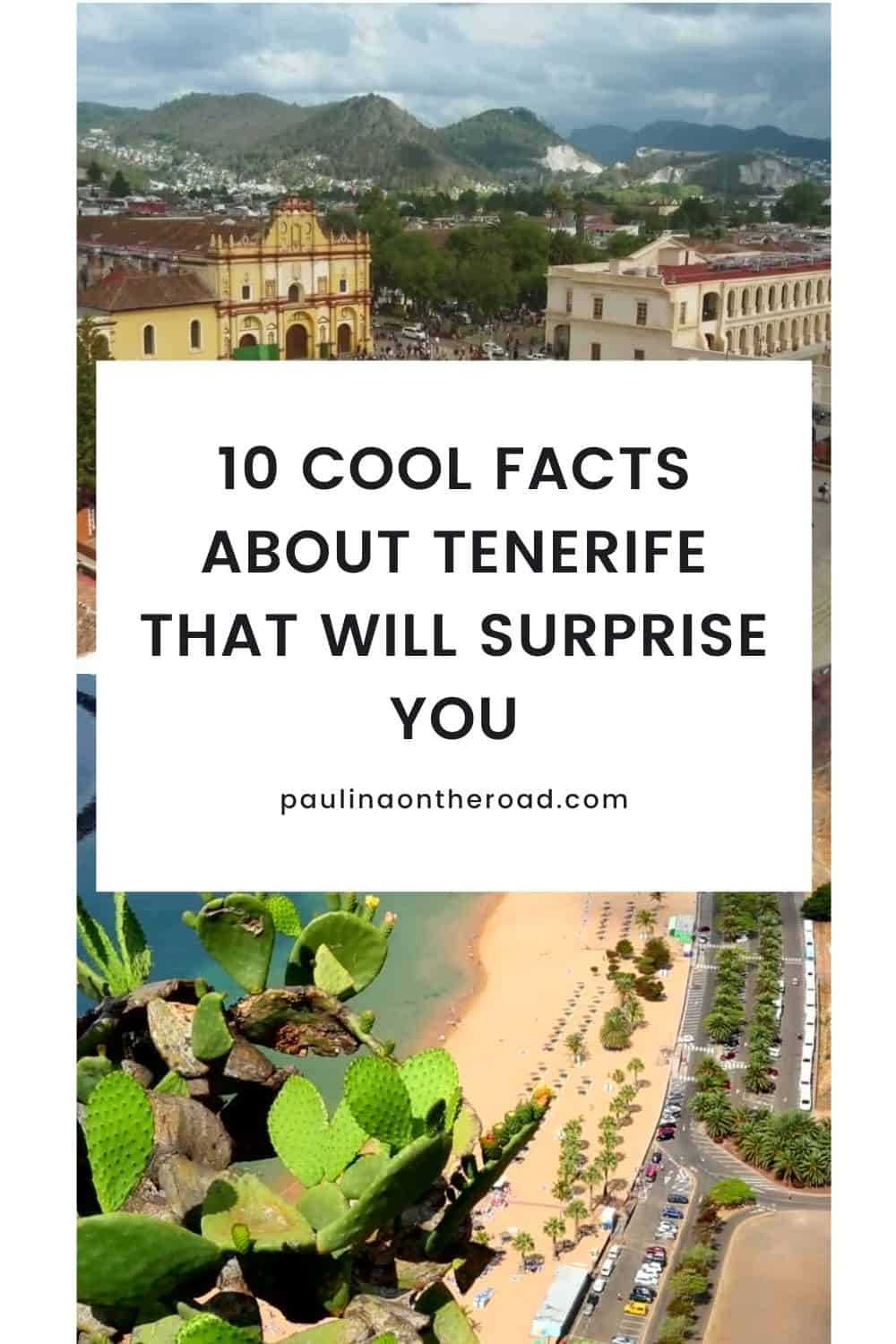 10 Cool Facts about Tenerife You Need to Know! - Paulina on the road