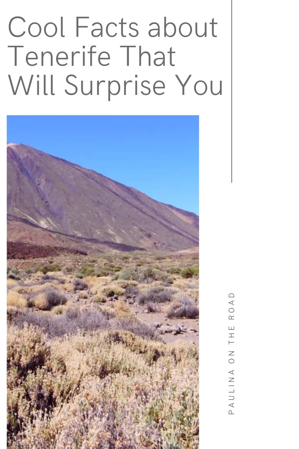 10 Cool Facts about Tenerife You Need to Know! - Paulina on the road