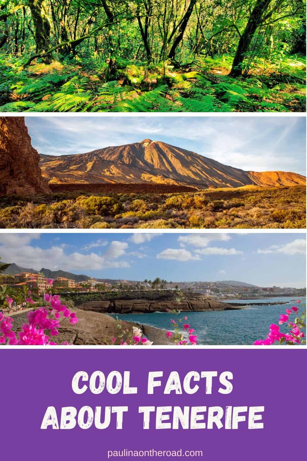 10 Cool Facts about Tenerife You Need to Know! - Paulina on the road