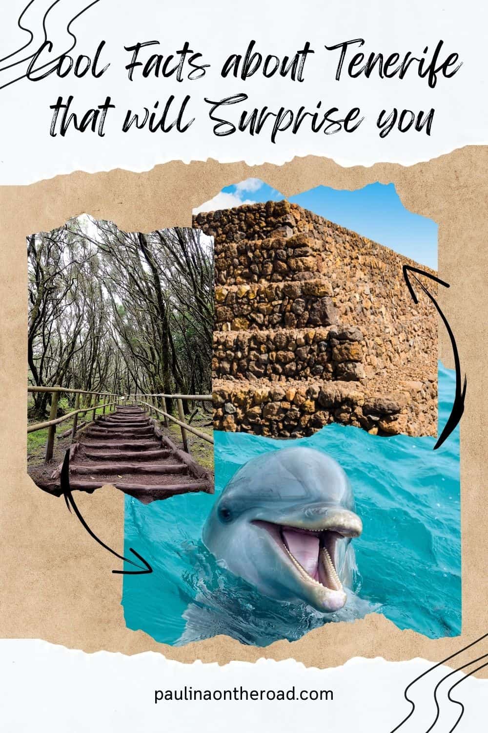 10 Cool Facts about Tenerife You Need to Know! - Paulina on the road