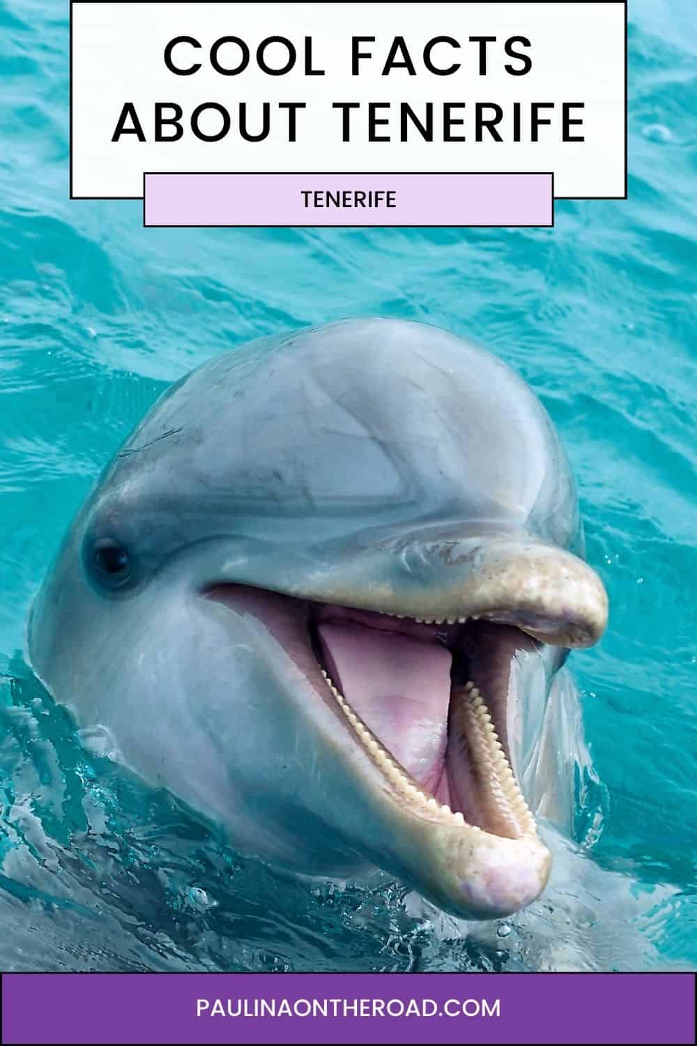 10 Cool Facts about Tenerife You Need to Know! - Paulina on the road