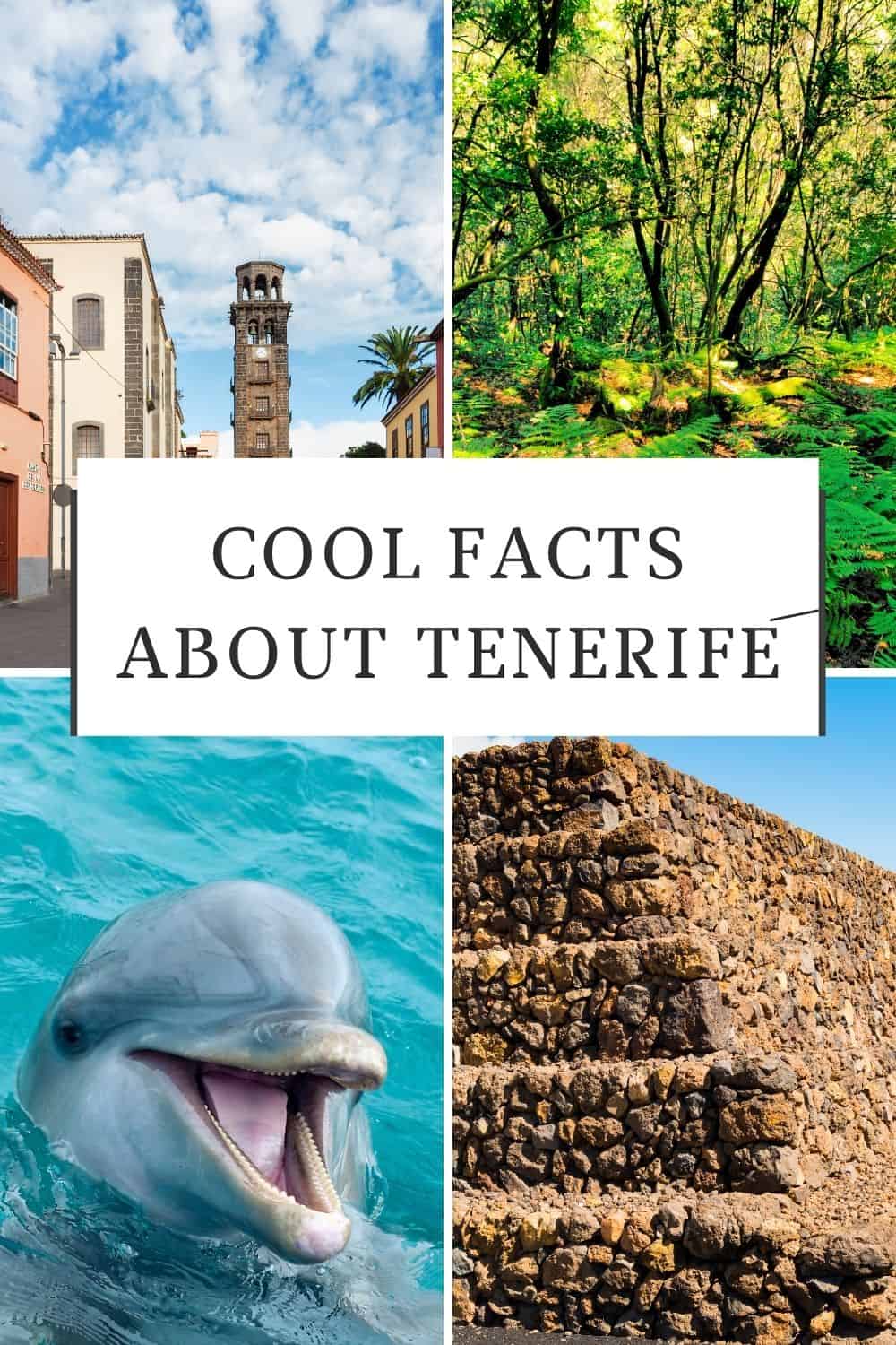 10 Cool Facts about Tenerife You Need to Know! - Paulina on the road
