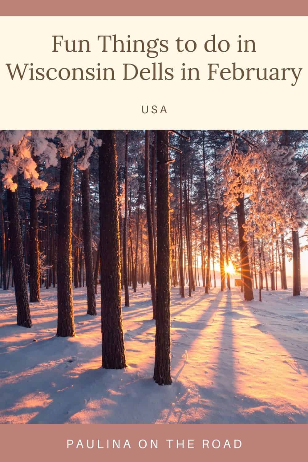 Top 10 Things to do in Wisconsin Dells in February - Paulina on the road