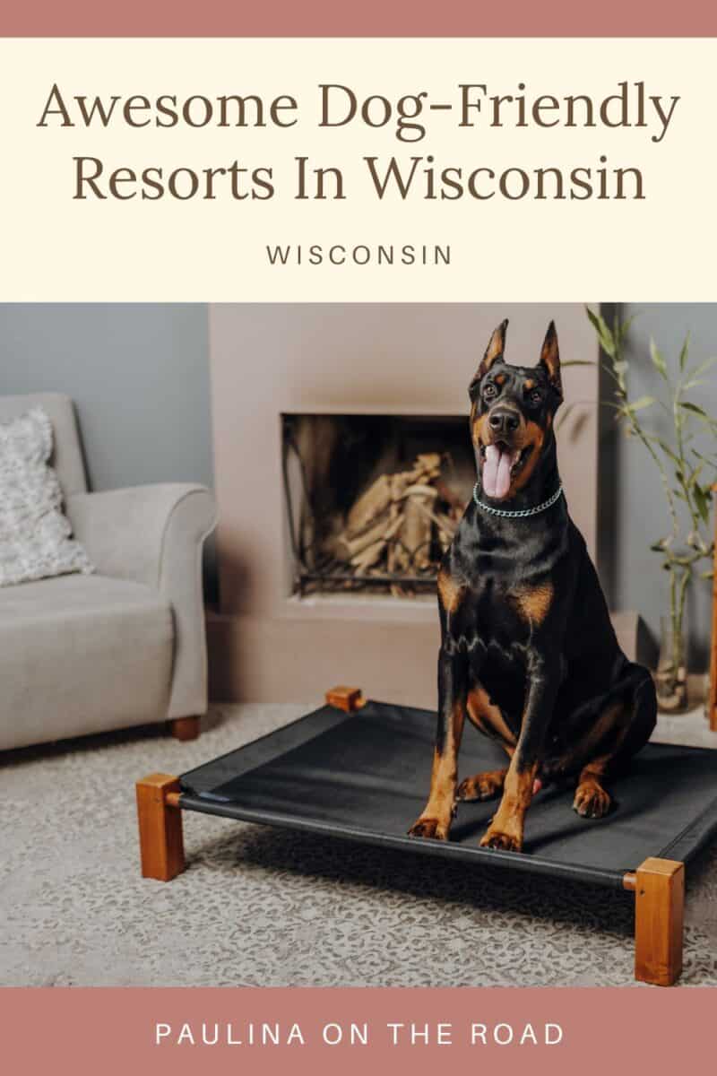12 Best Dog-Friendly Resorts In Wisconsin - Paulina on the road