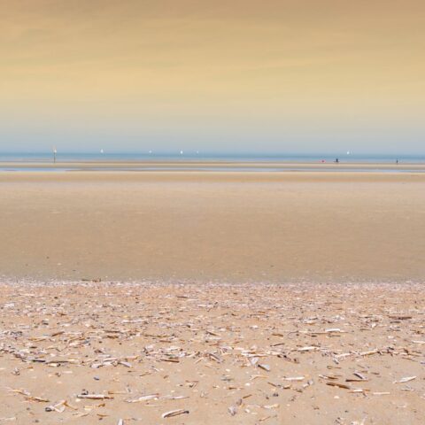 10 Best Beaches in Belgium [Local's Tips] - Paulina on the road