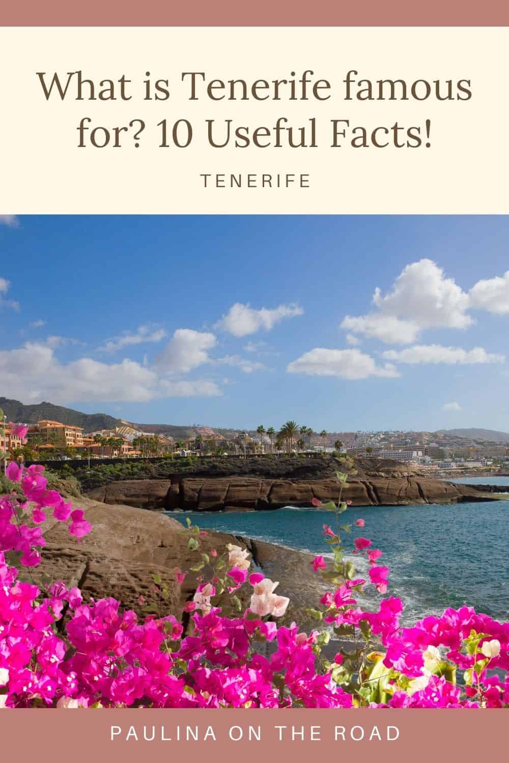 What is Tenerife famous for? 10 Useful Facts! - Paulina on the road