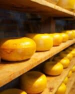 15 Exciting Things to Do in Wisconsin with Kids - Paulina on the road