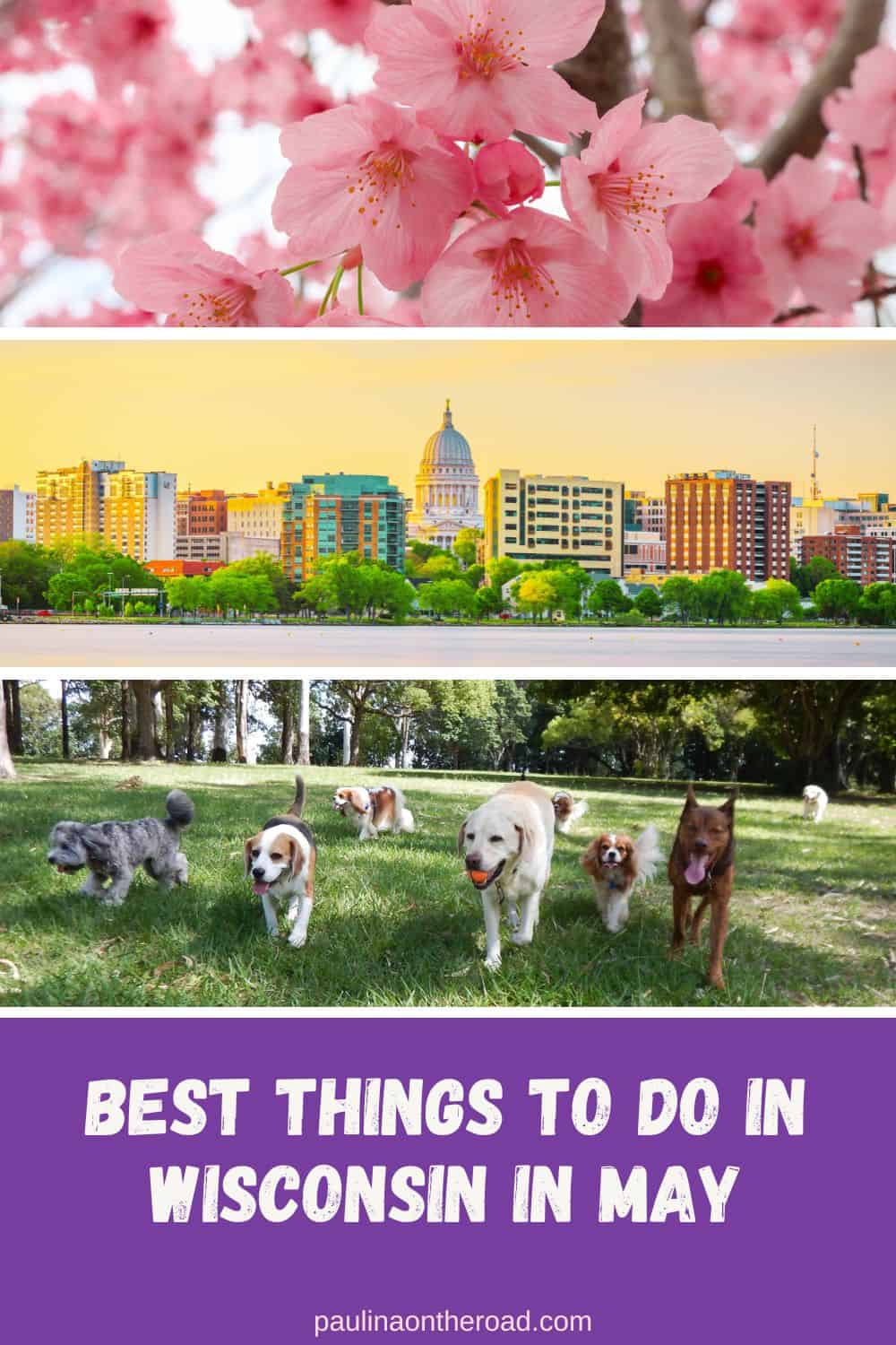 Top 12 Things to Do in Wisconsin in May - Paulina on the road