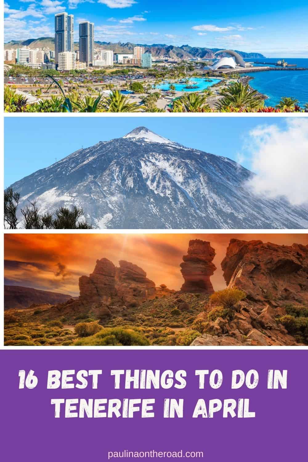 What to do in Tenerife in April? 16 Fun Ideas! - Paulina on the road
