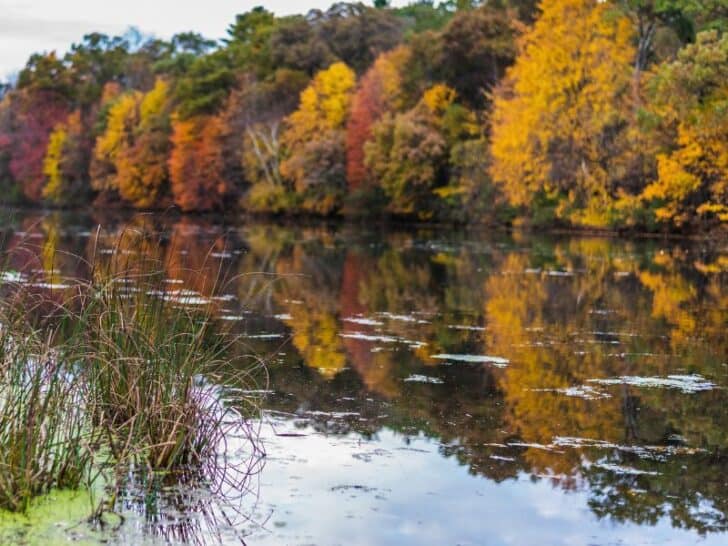 10 Gorgeous Lakes near Wisconsin Dells - Paulina on the road