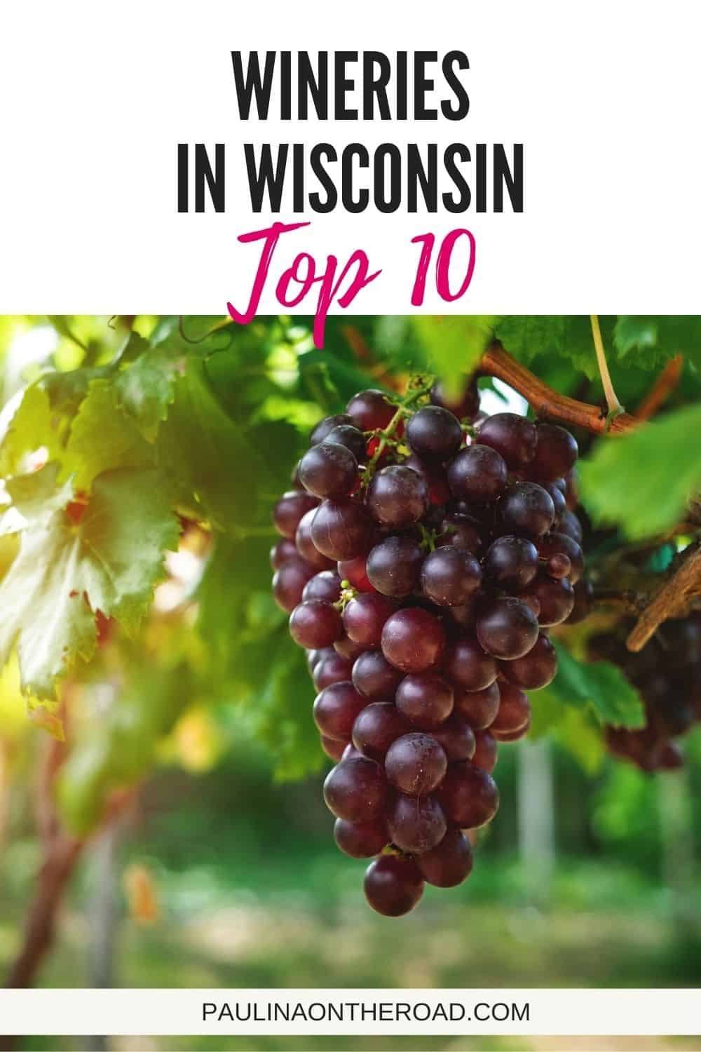 10 Best Wineries in Wisconsin - Paulina on the road