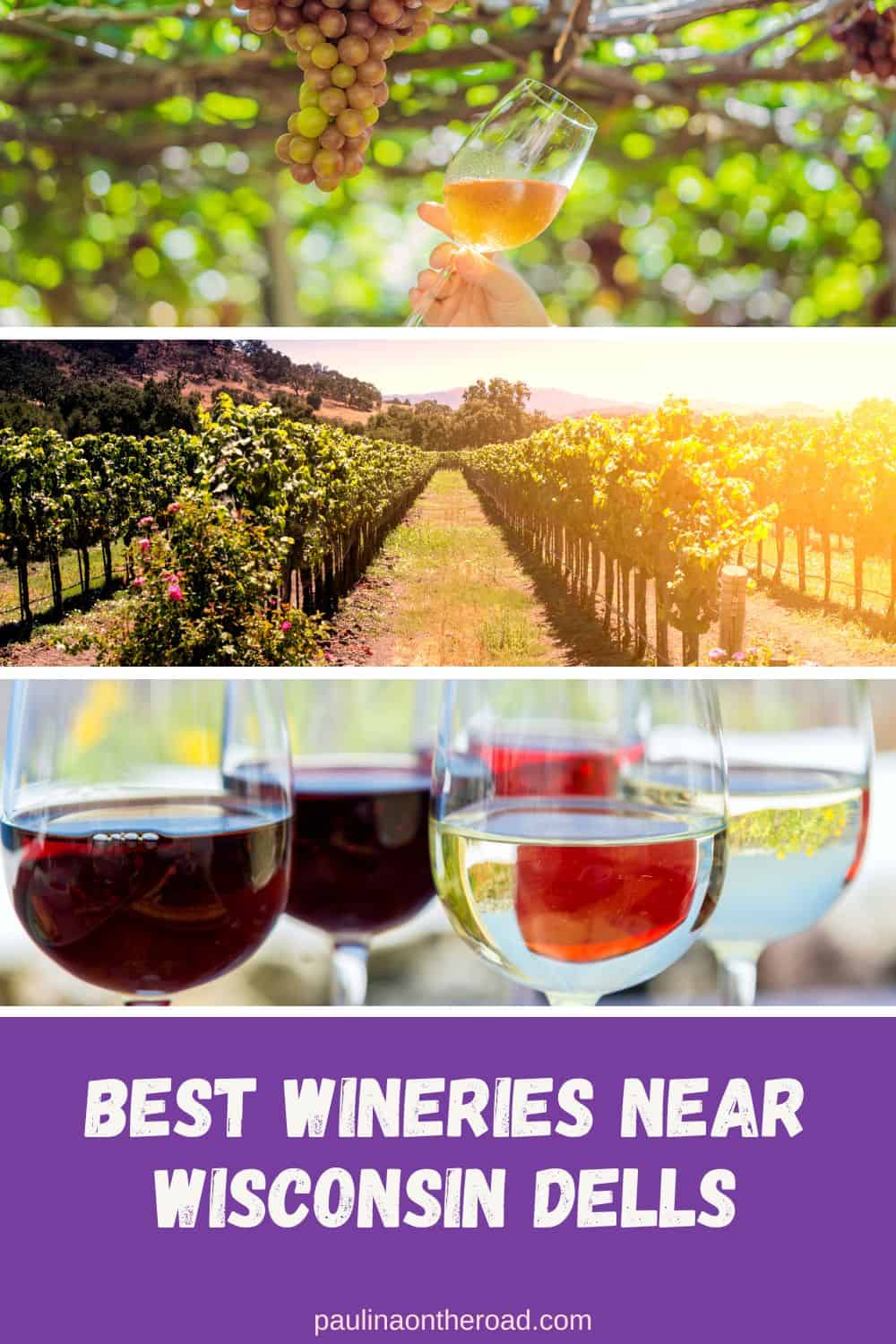10 Best Wineries Near Wisconsin Dells - Paulina on the road