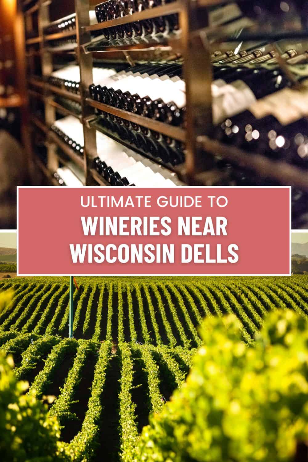10 Best Wineries Near Wisconsin Dells - Paulina on the road