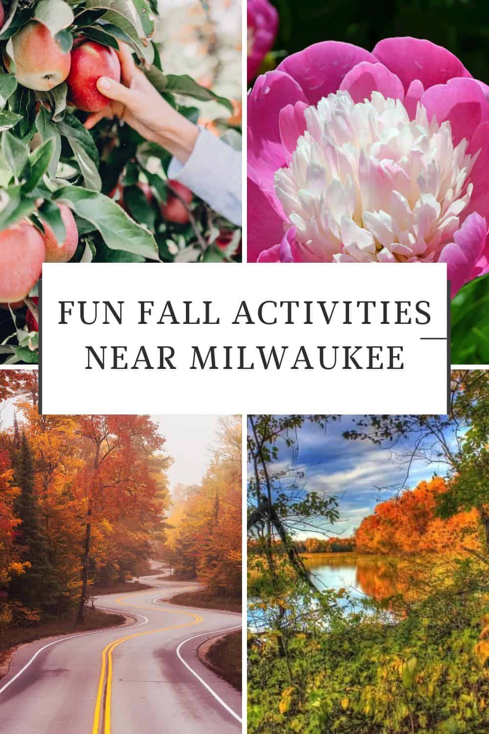 12 Fun Fall Activities Near Milwaukee - Paulina on the road