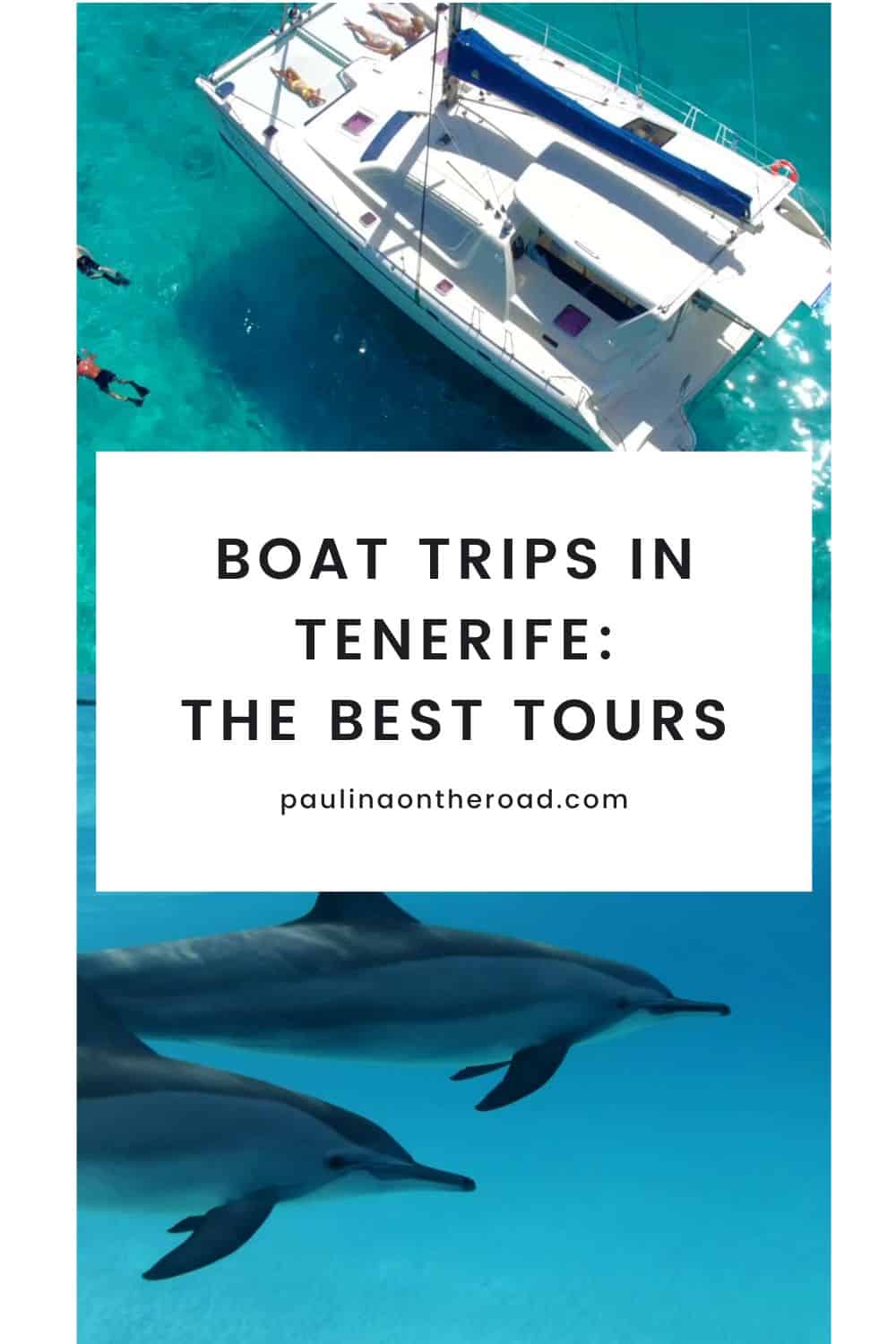 Boat trips in Tenerife: 8 Best Tours - Paulina on the road