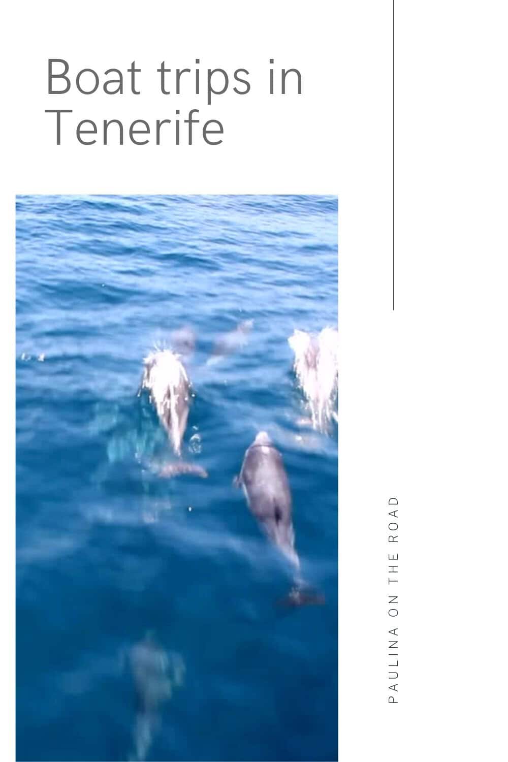 Boat trips in Tenerife: 8 Best Tours - Paulina on the road