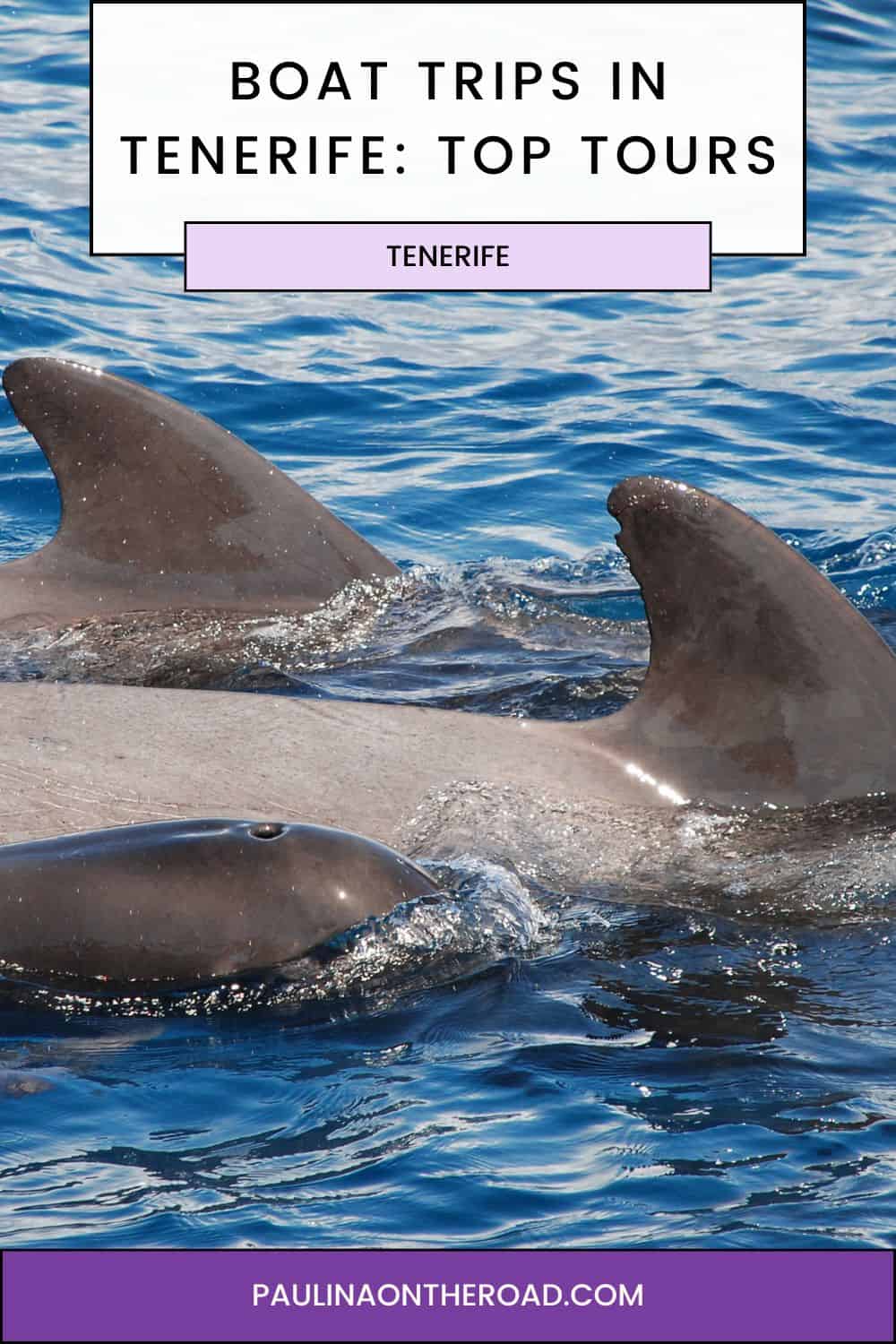 Boat trips in Tenerife: 8 Best Tours - Paulina on the road
