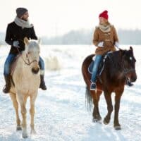 12 Things to do in Wisconsin Dells for Adults in Winter - Paulina on ...