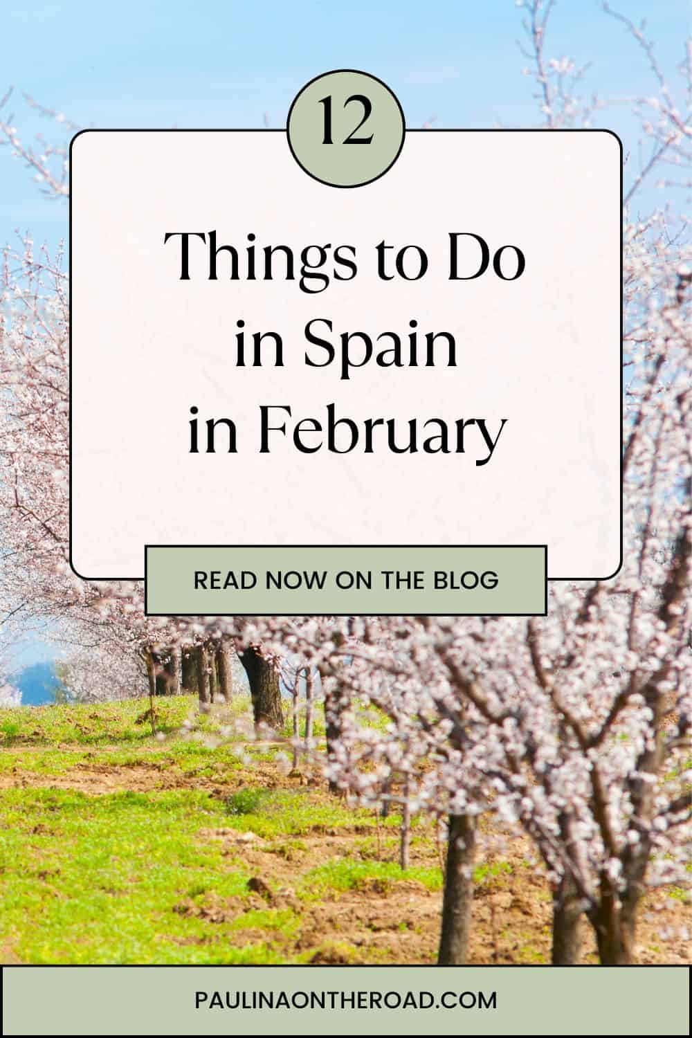 12 Top Things to Do in Spain in February - Paulina on the road